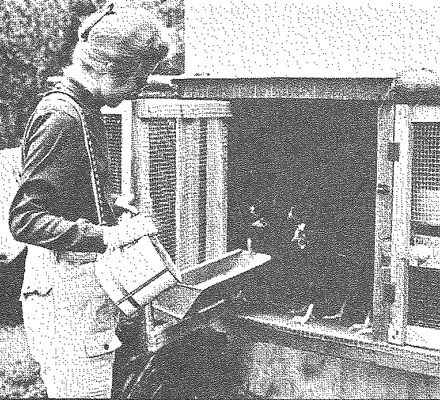 How To Build A Colony Chicken Coop – Mother Earth News